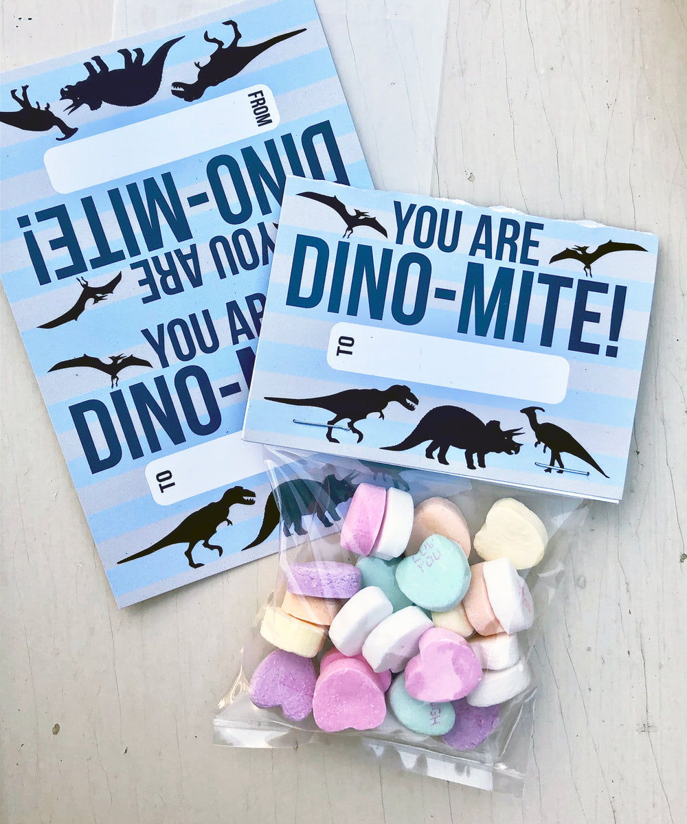 Valentine Cards with Goodie Bags (Set of 20) - "Dino Mite" – Stamp Out